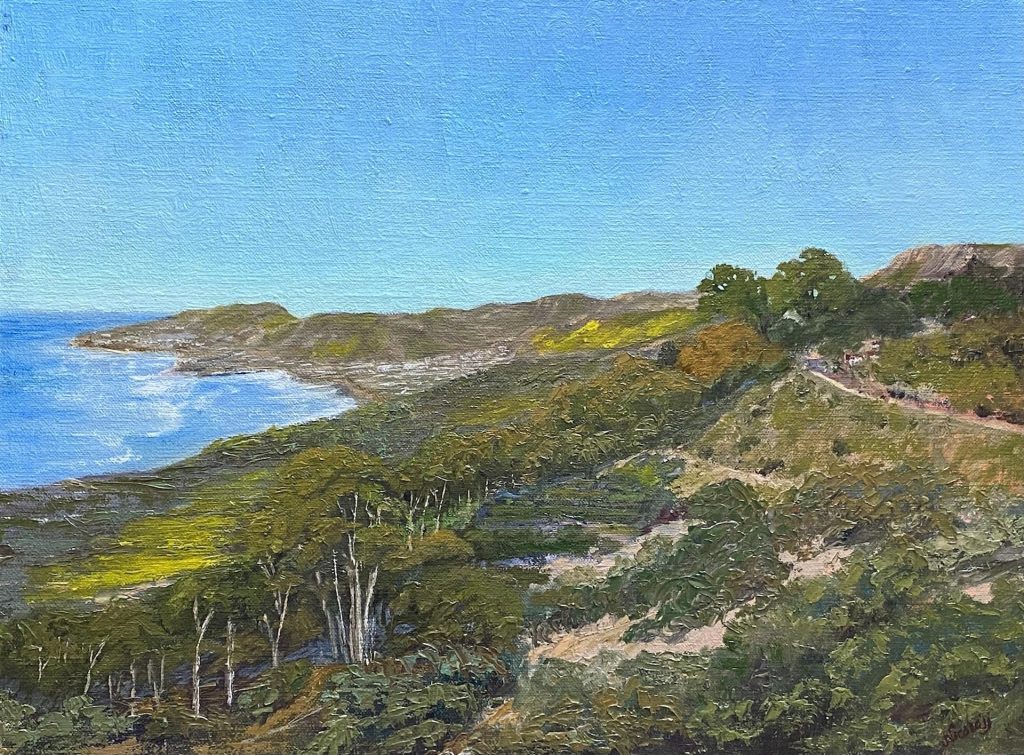 Toro Canyon View of Santa Barbara - California Missions Trail
